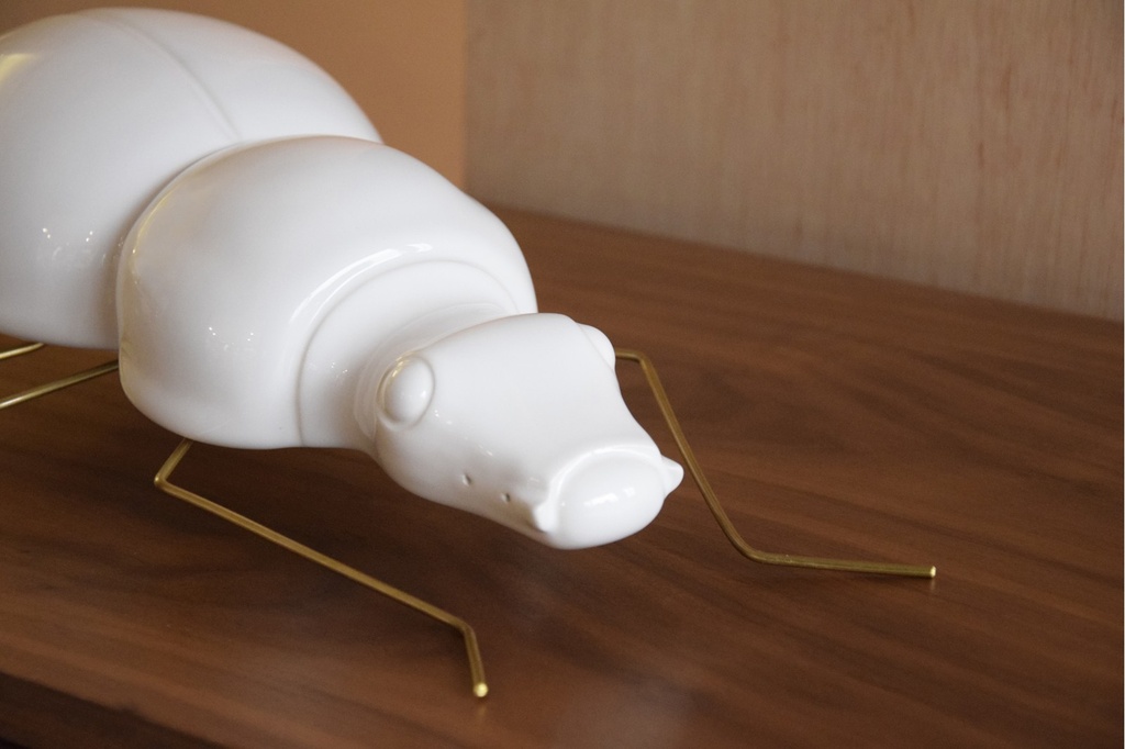 BEETLE | Coco Corner